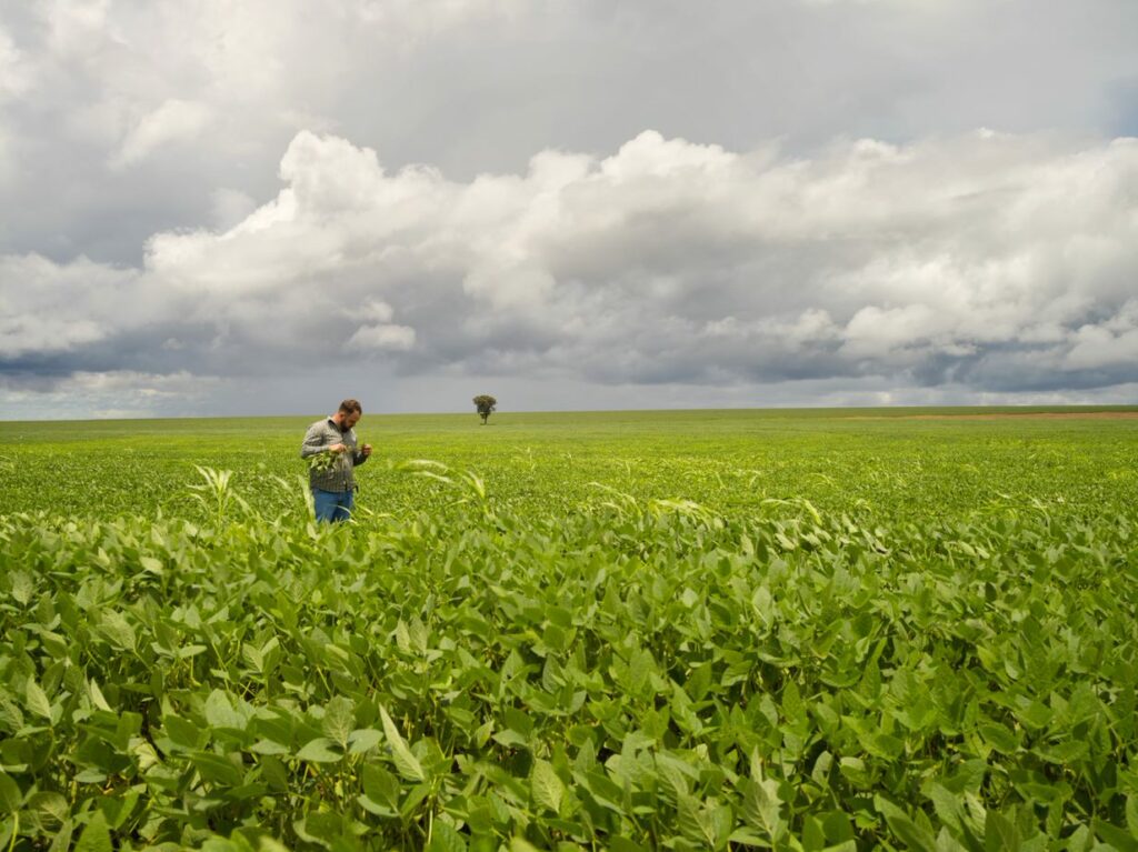Koppert Biological Systems - Dutch Greenhouse Delta