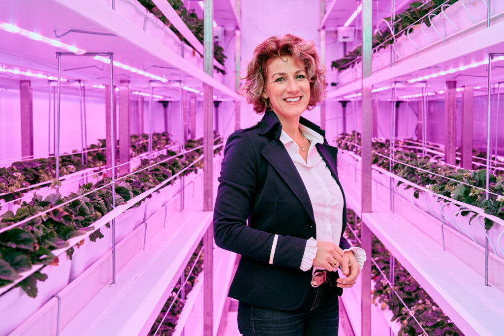 Dutch Greenhouse Delta - breaking new ground together - Home