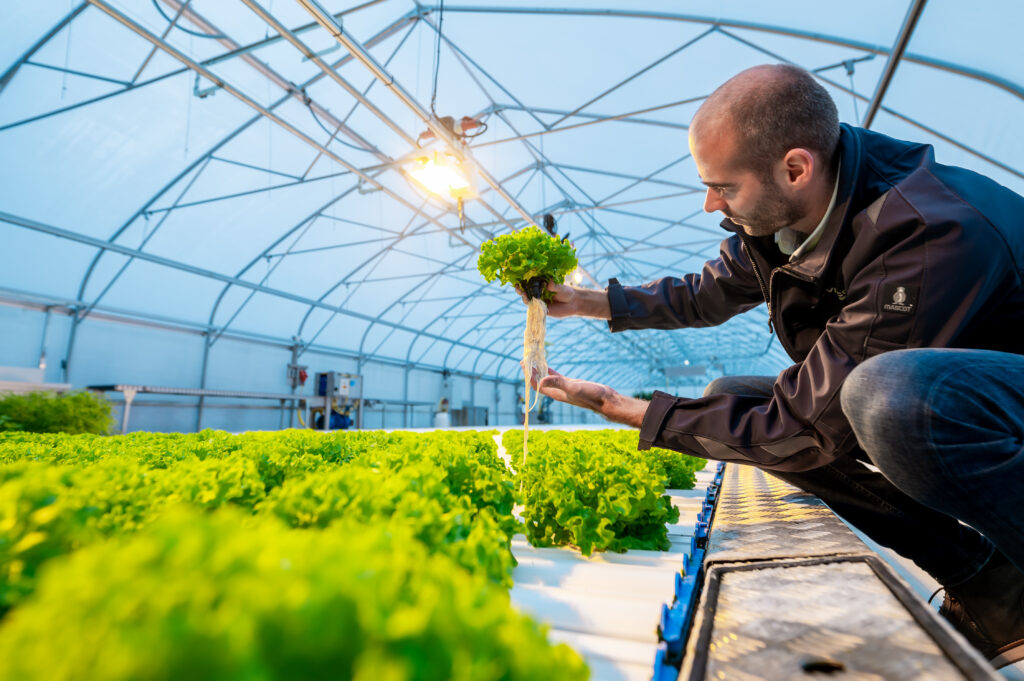 Dutch Greenhouse Delta proudly welcomes Viscon Group as a new partner ...