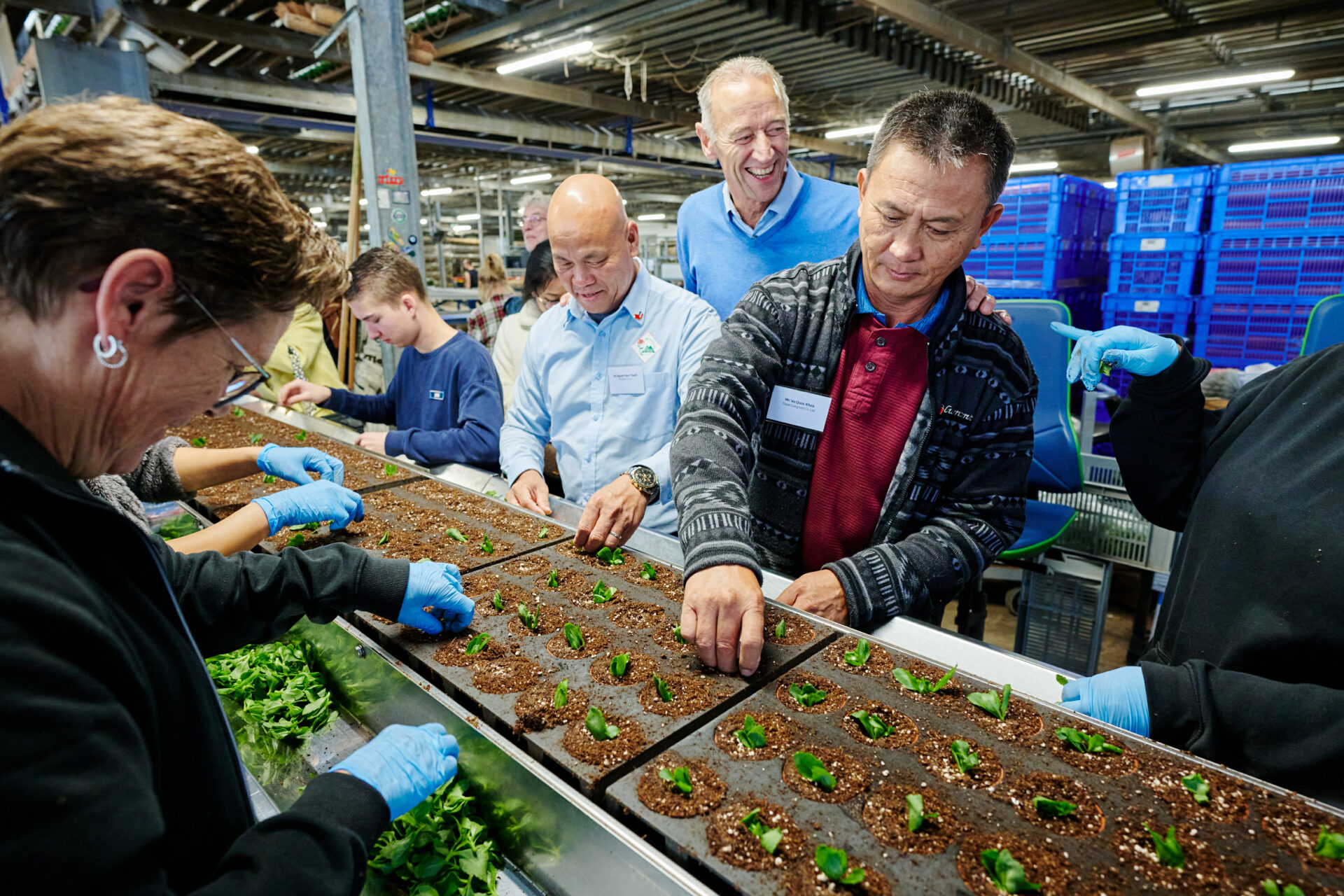 Floricultural mission to the Netherlands leads to cooperation on the ...