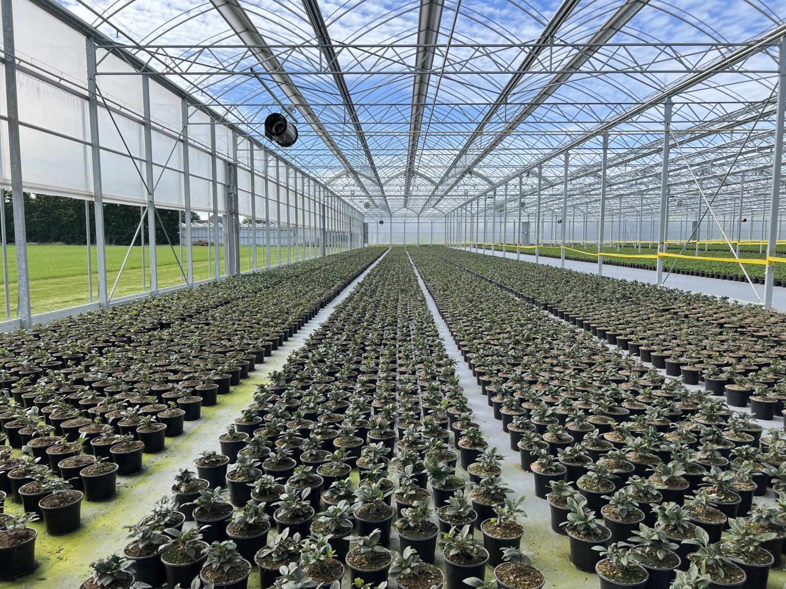 Partners - Dutch Greenhouse Delta