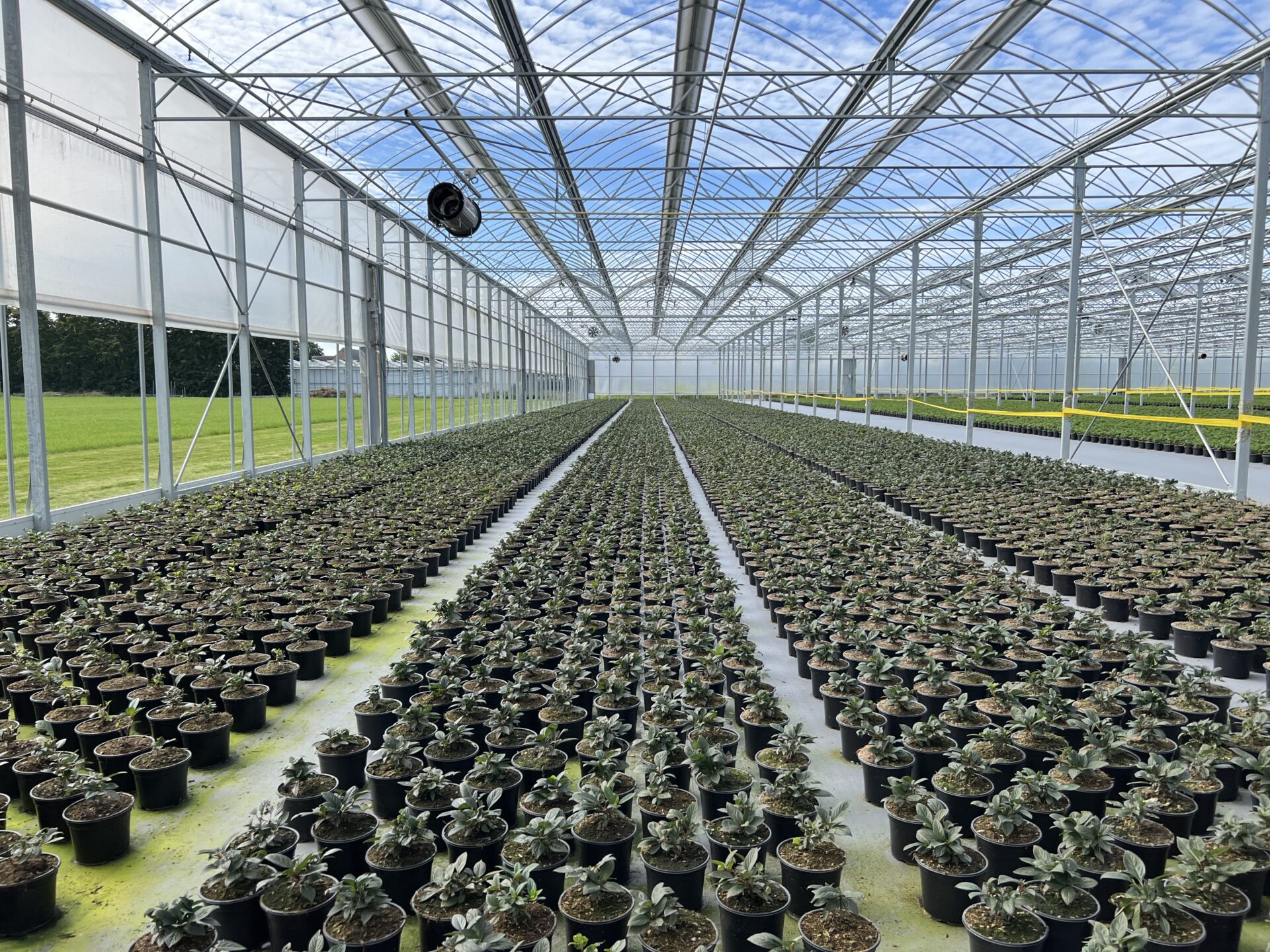 Partners - Dutch Greenhouse Delta